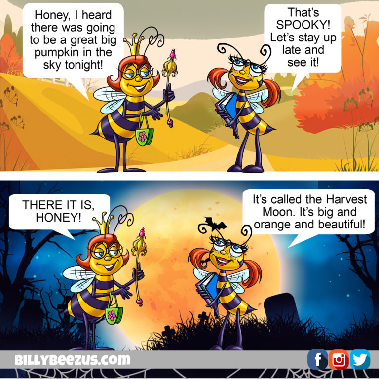 Billy Beez Cartoons - Billy BeezBilly Beez