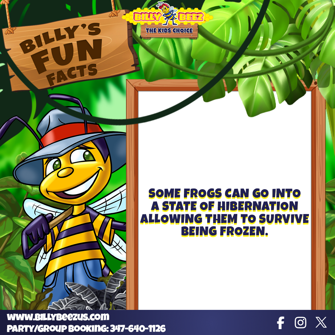 Billy's Fun Facts - Billy BeezBilly Beez