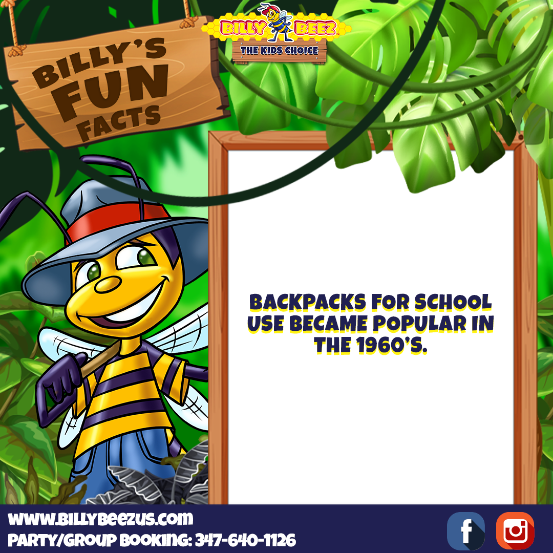 Billy's Fun Facts - Billy BeezBilly Beez