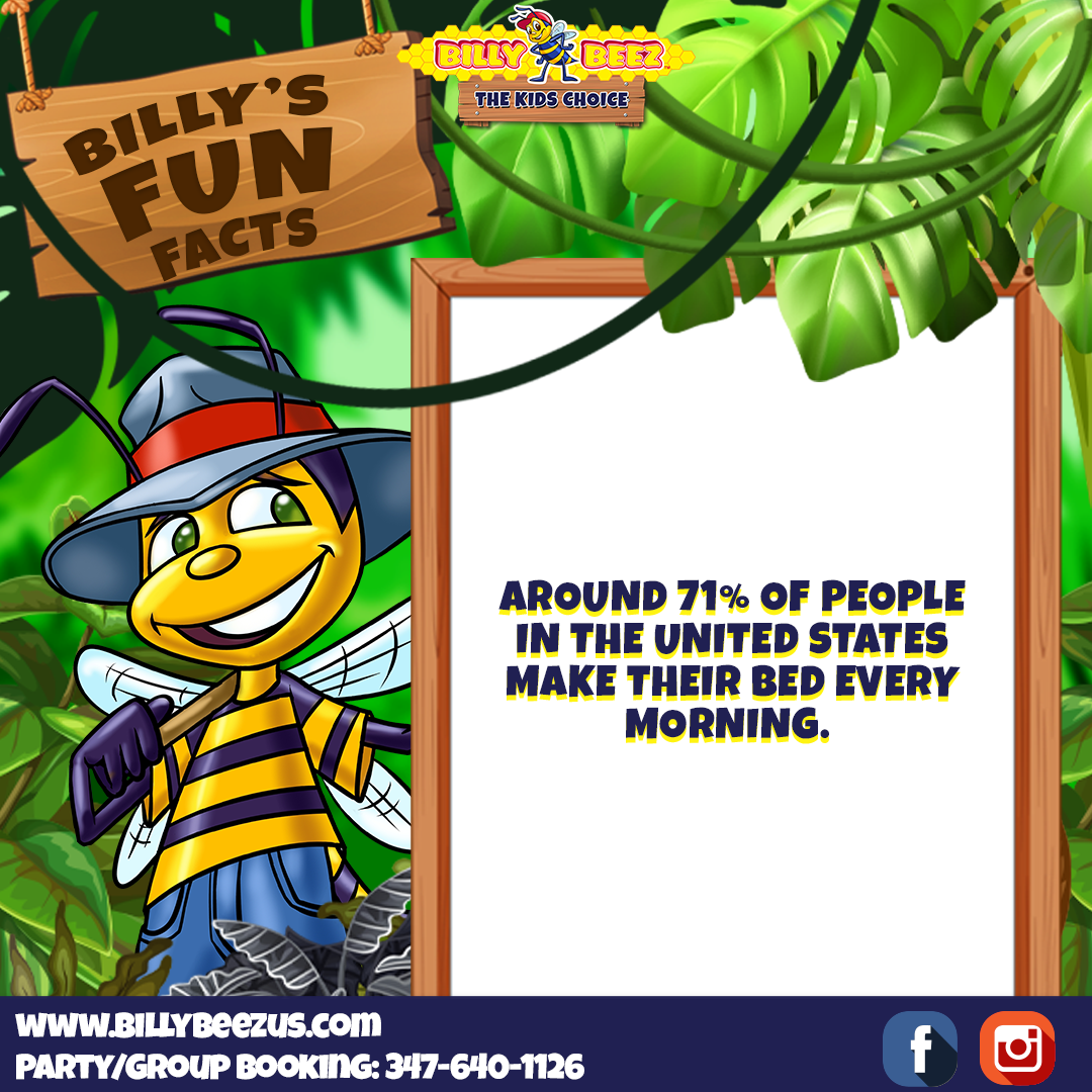 Billy's Fun Facts - Billy BeezBilly Beez