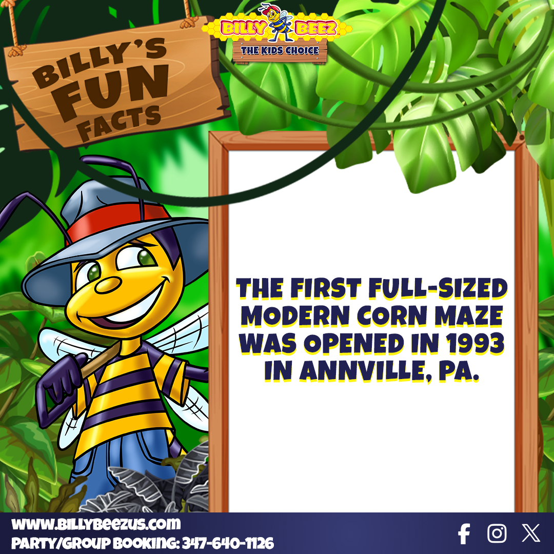 Billy's Fun Facts - Billy BeezBilly Beez