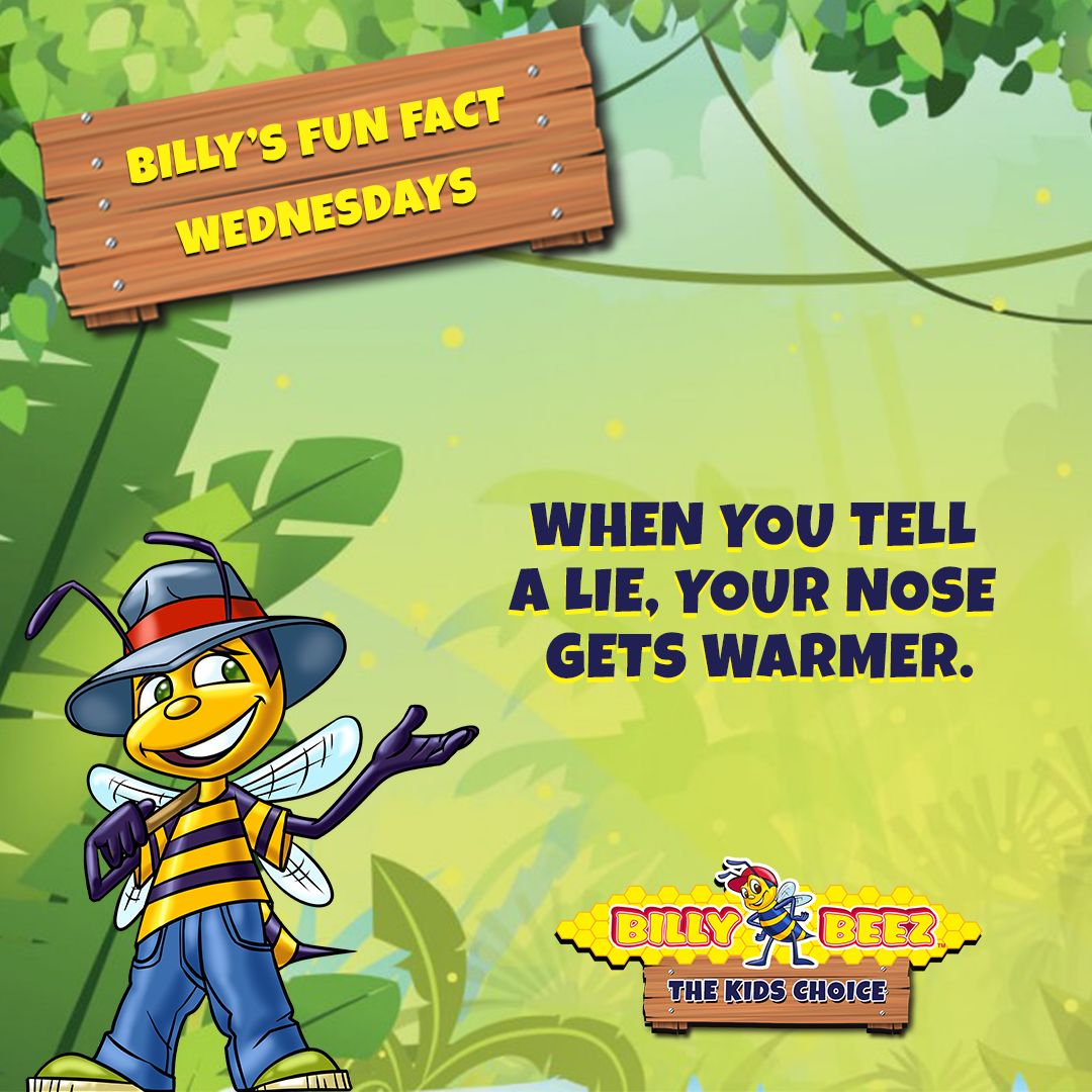 Billy's Fun Facts - Billy BeezBilly Beez